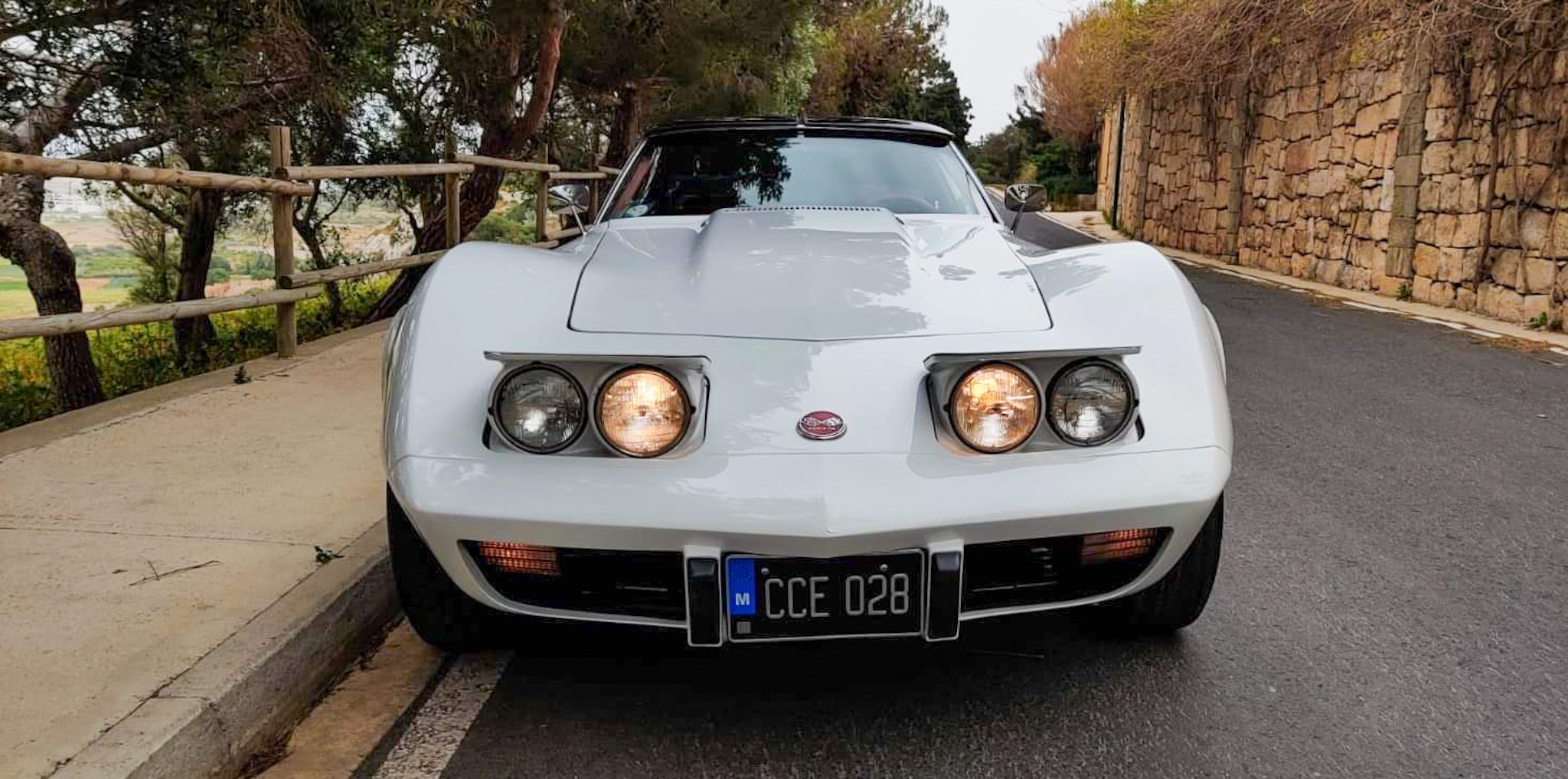 Chevrolet Corvette C3 Stingray L-82 - Ventur Auto Import