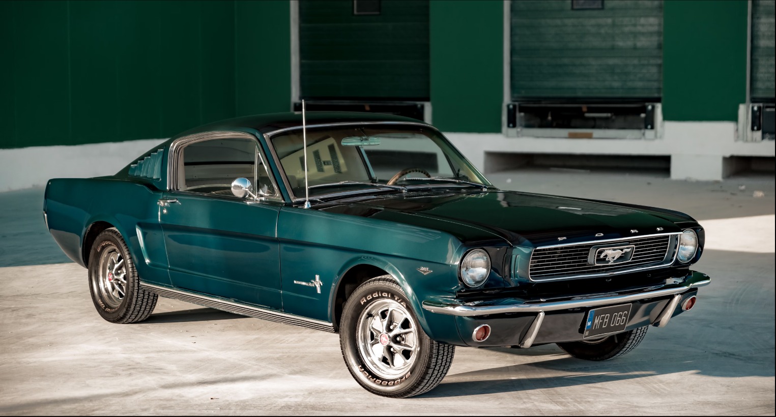 Ford Mustang Fastback - Ventur Auto Import